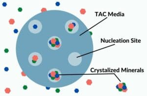 TAC vs NAC Media Explained (Is There a Difference?)