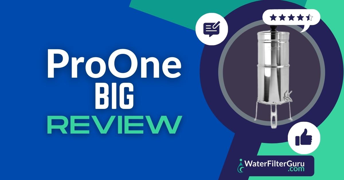 ProOne (formerly Propur) Big+ Review (November 2023)