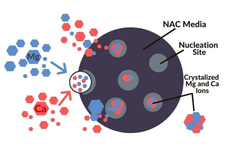 TAC vs NAC Media Explained (Is There a Difference?)