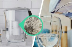 Why Brita Filters Get Mold (& How To Prevent It)