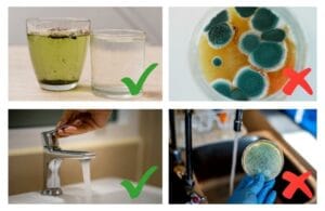 Backwash Filter Basics 101 (Diagram Included) | Water Filter Guru