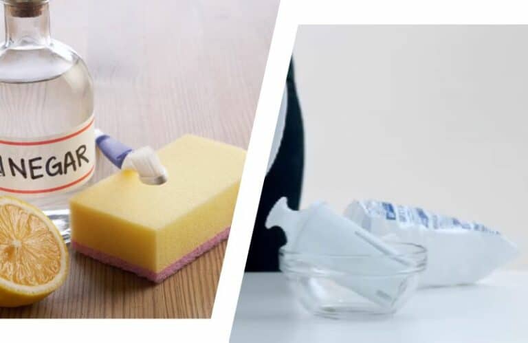 Why Brita Filters Get Mold (& How To Prevent It)