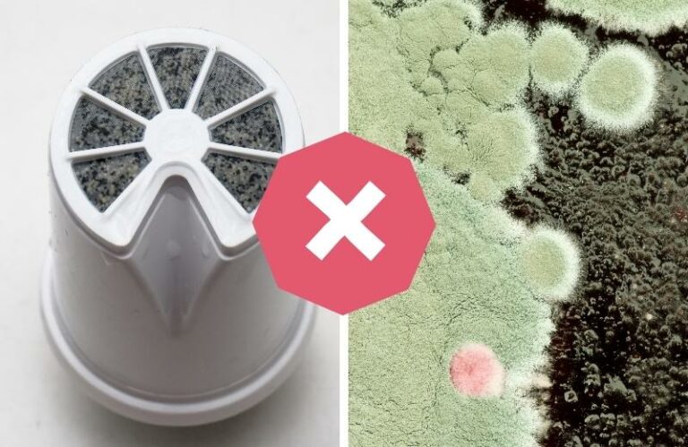 Why Brita Filters Get Mold (& How To Prevent It)