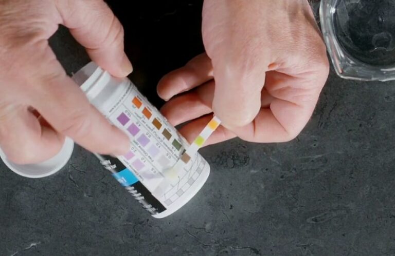 8 Best Water Test Kits: Lab & DIY of 2024