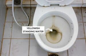 8 Causes of Brown Toilet Water & How to Fix Them
