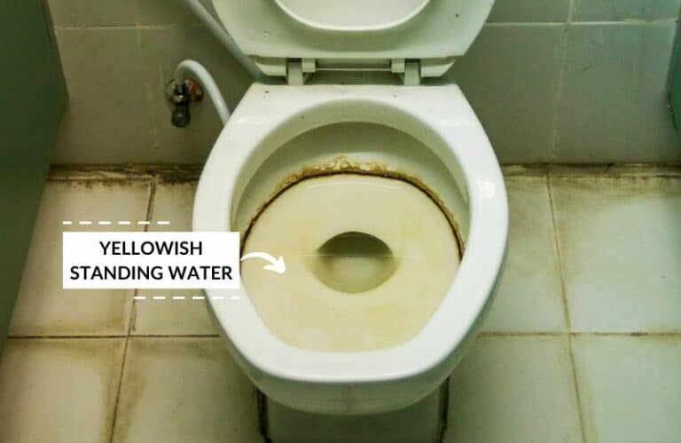 7 Causes of Yellow Toilet Water (+ How to Fix Them)