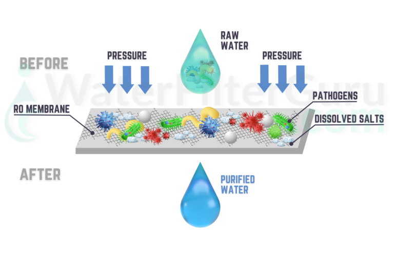 Ultimate Guide to Reverse Osmosis Water: Pros, Cons, and More