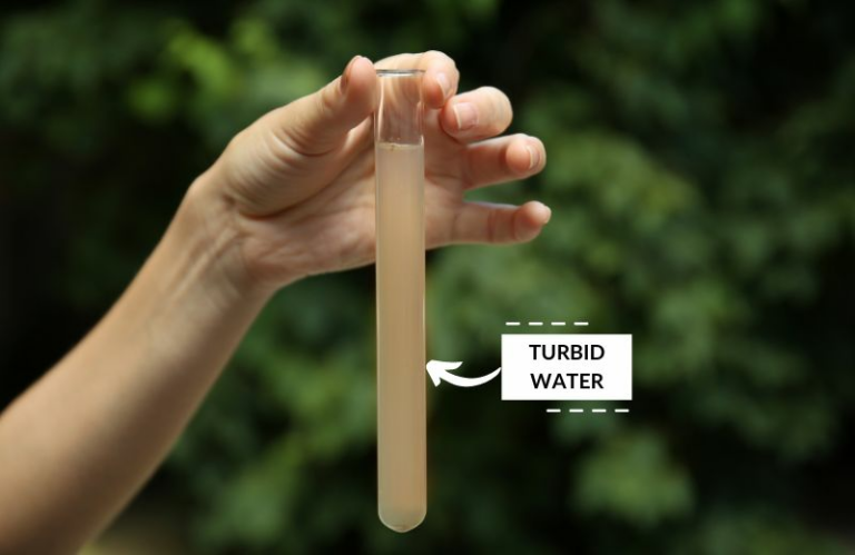 What Is Turbidity in Water? (A Water Doctor Explains)