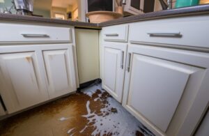 6 Likely Causes of Chlorine (Bleach) Smell in Your House