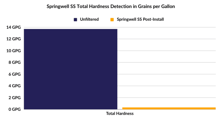 Springwell SS Water Softener System Review