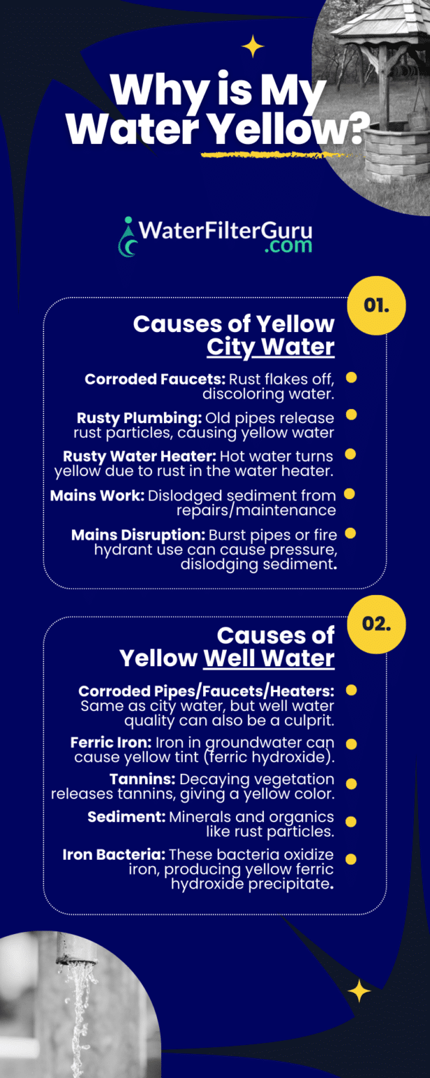Why is My Water Yellow? What Can I Do to Fix It?