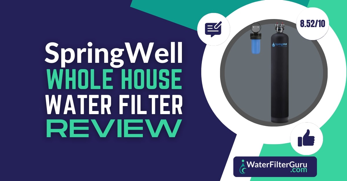 SpringWell CF Whole House Water Filter System Review