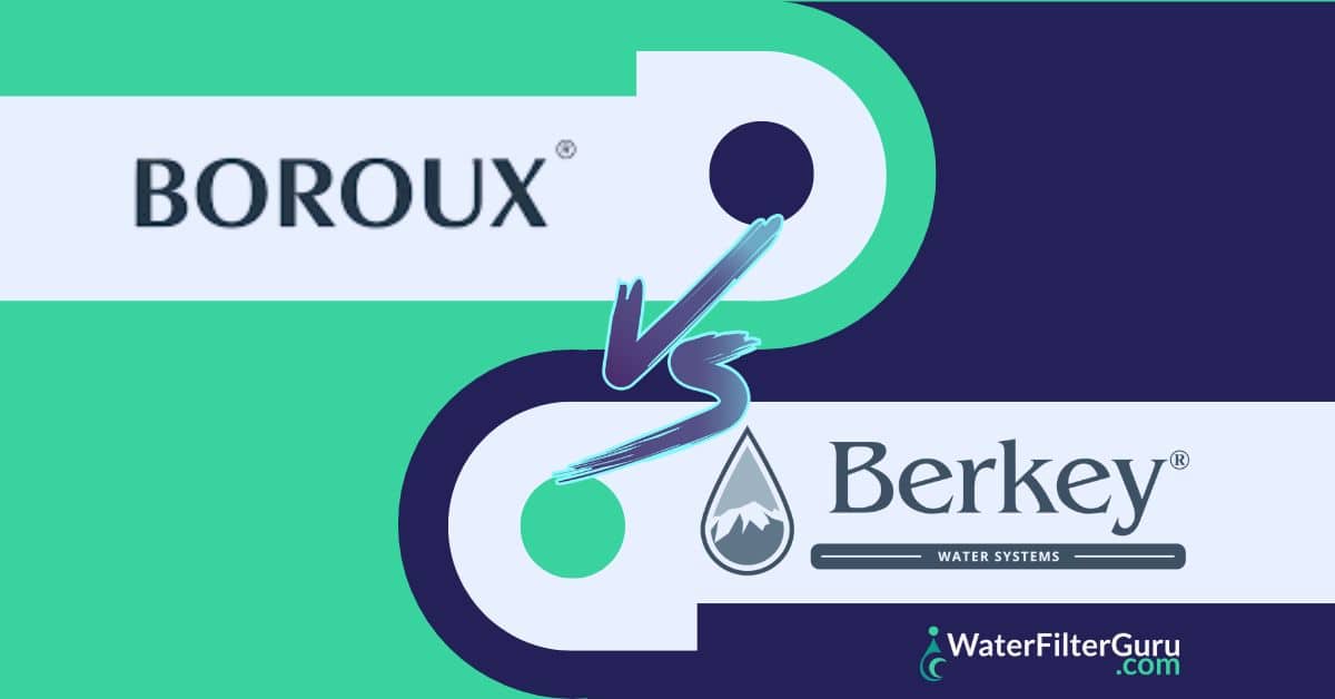 Boroux vs Berkey: A Data-Driven Comparison